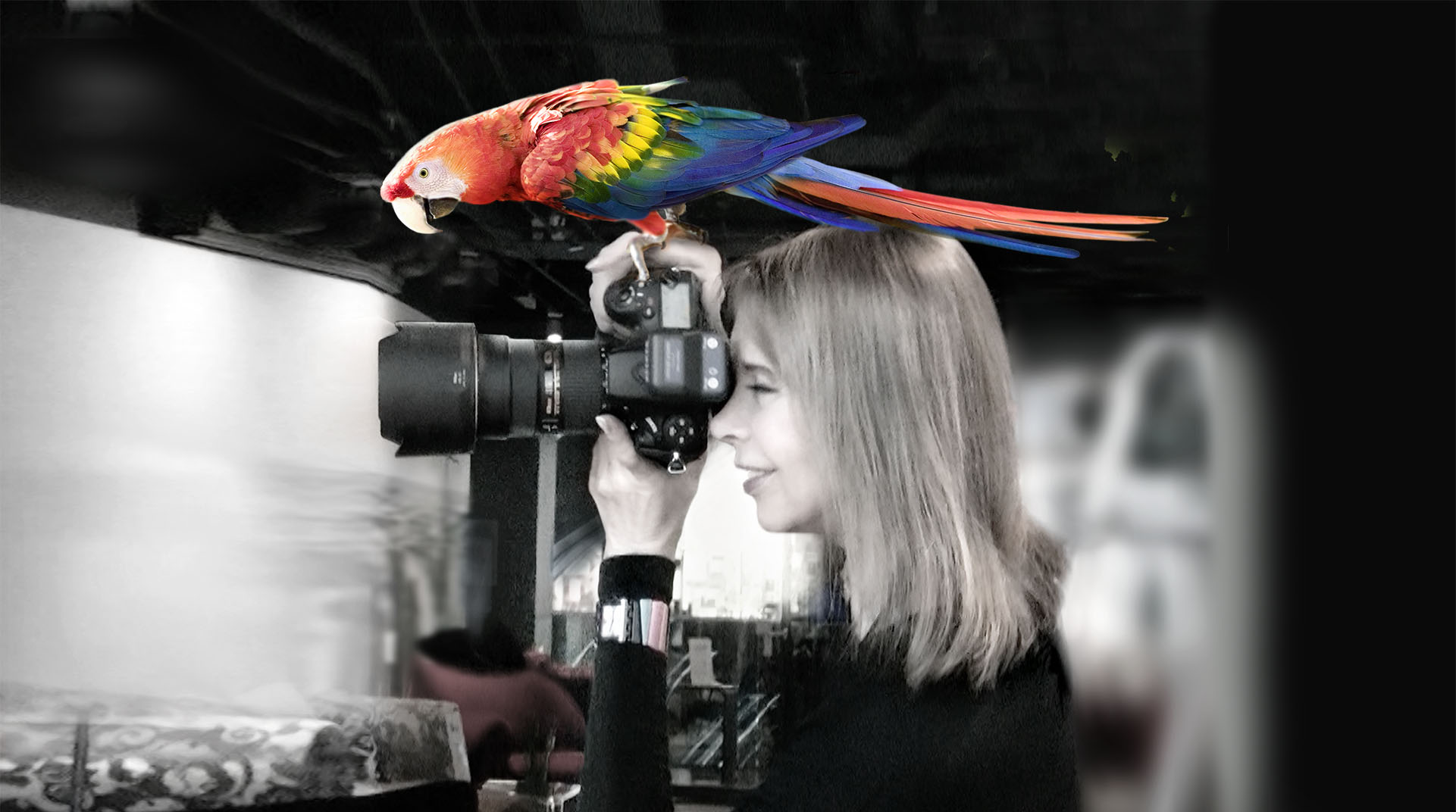 About - West Studios